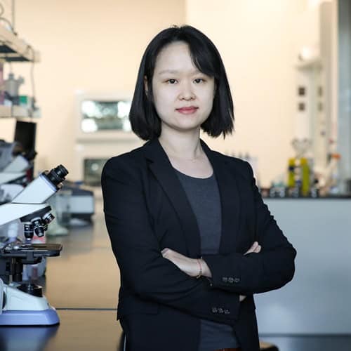 Study reveals worrying implications of warming Western Antarctic ...