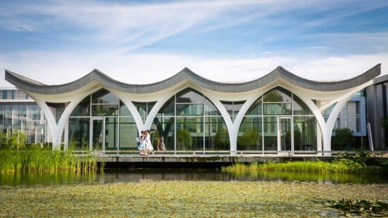 DKU receives record number of undergraduate applications - News | Duke ...