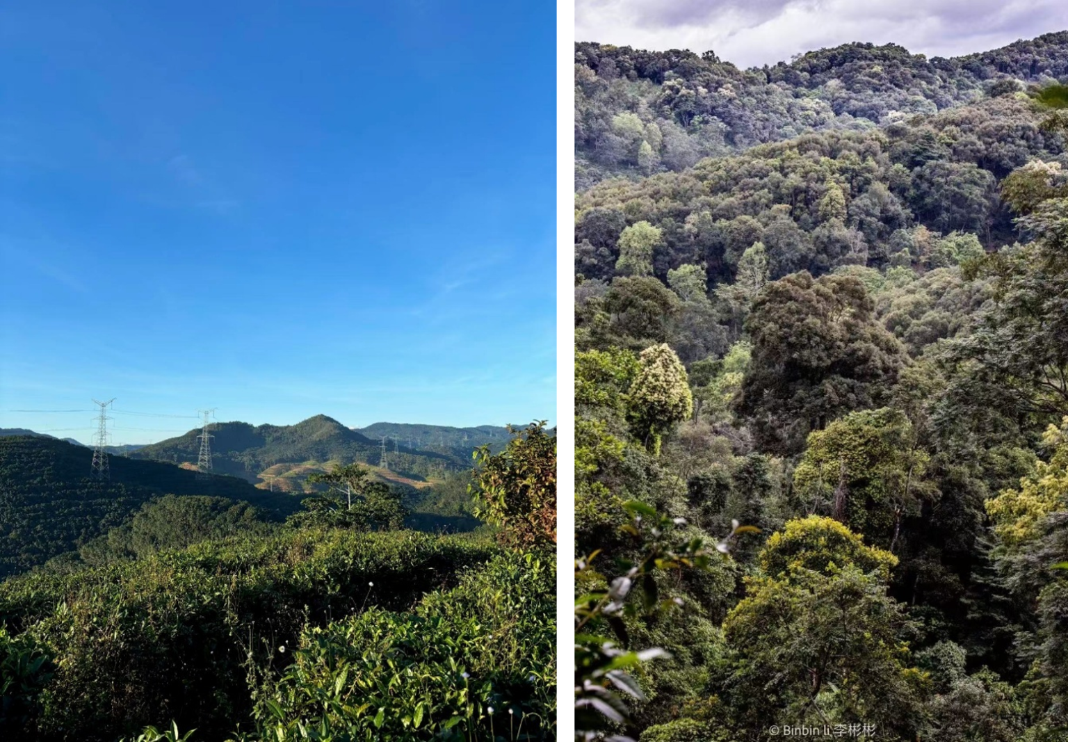 Environmental Research Center Publishes New Report on Biodiversity ...