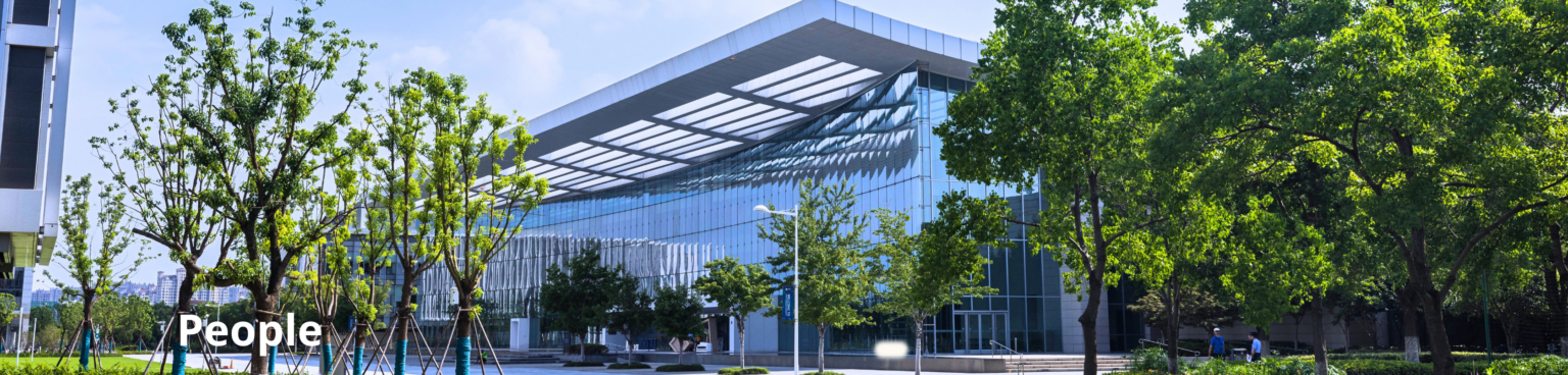 Faculty - Digital Innovation Research Center
