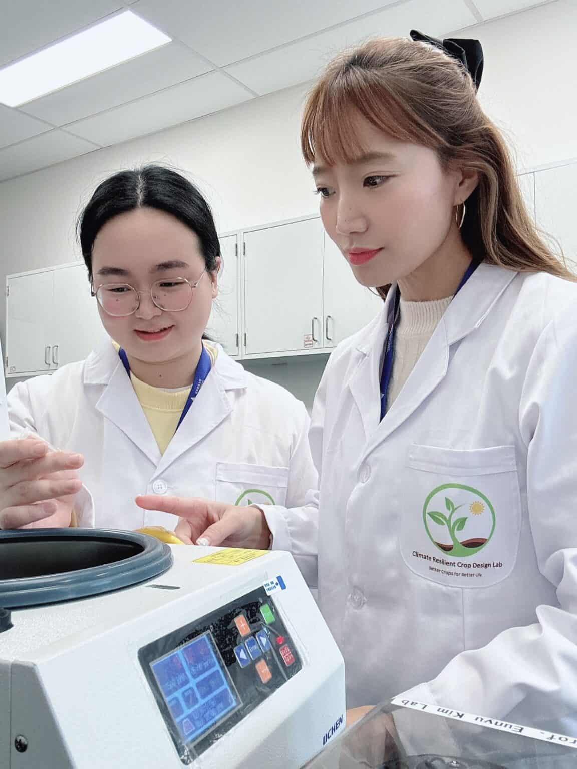 Study seeks to address global food security challenges - News | Duke ...