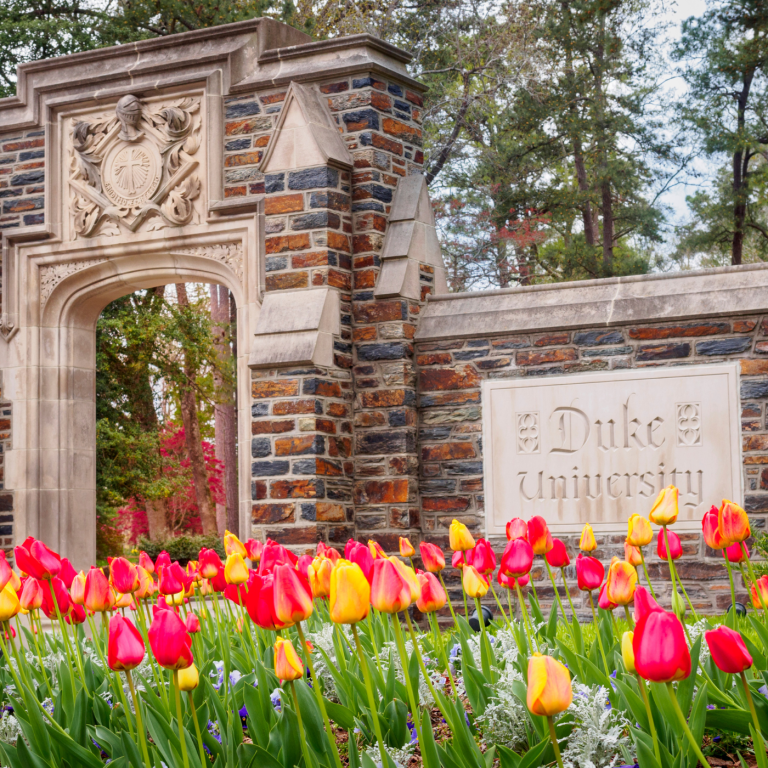 Duke - Global Education