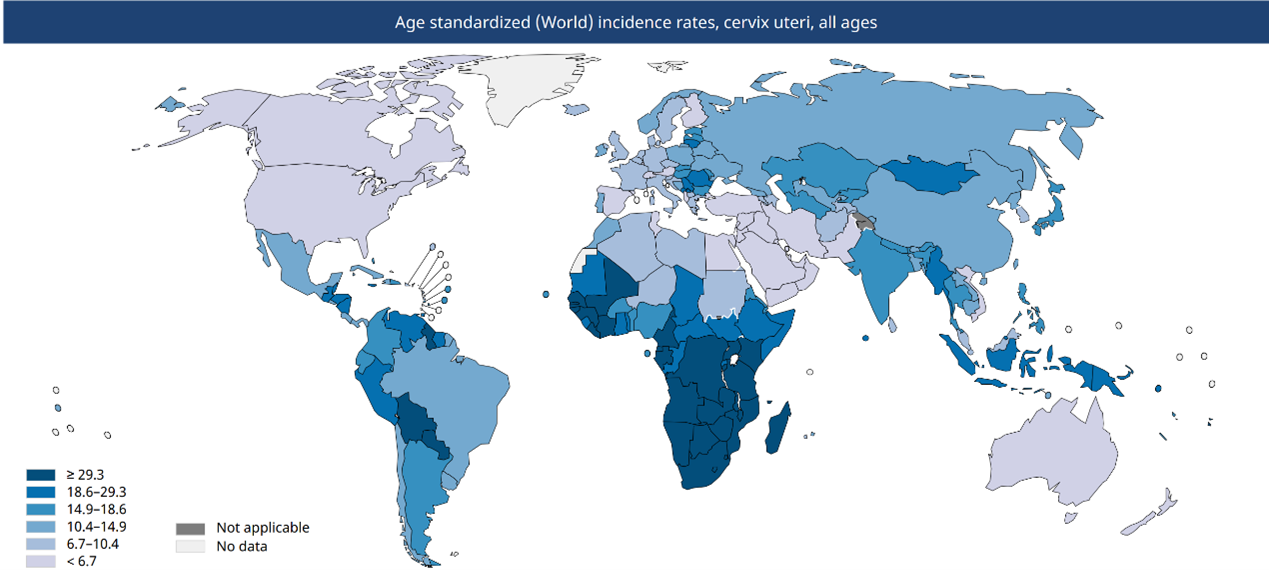 Global Disease Burden of Cervical Cancer | Innovation Lab for Vaccine ...