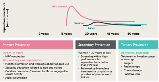 Global Action Plan for Cervical Cancer Elimination | Innovation Lab for ...